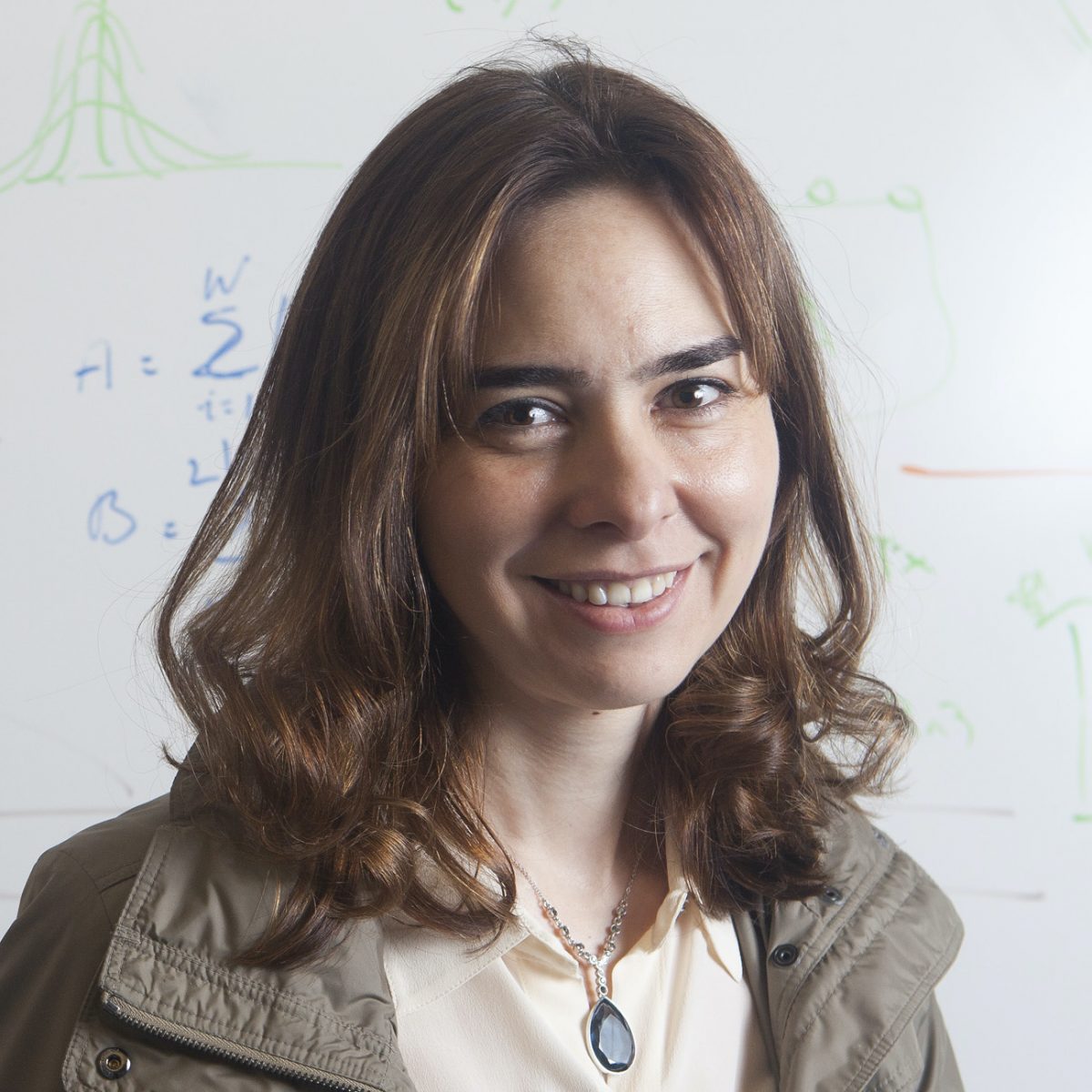 Affiliated Faculty - The Martin Trust Center for MIT Entrepreneurship